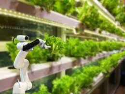 Indoor Farming Technology Market Still Has Room to Grow | Emerging ...